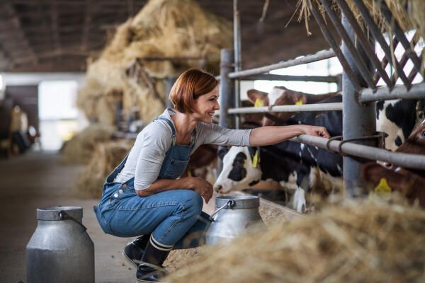 Landwirt Ausbildung: Berufsbild & freie Stellen | Azubiyo