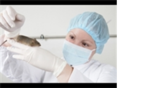 Tierpfleger Ausbildung: Berufsbild & freie Stellen | Azubiyo